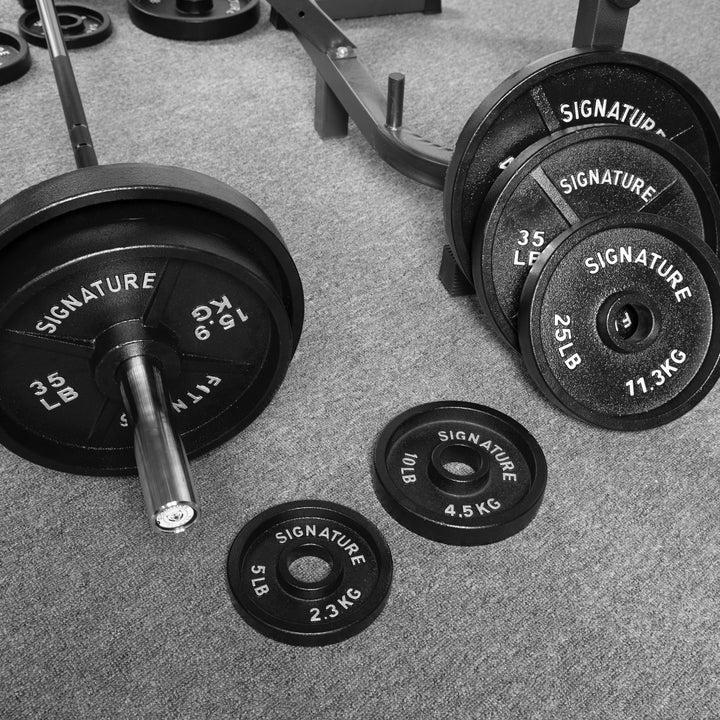 Signature Fitness SF-C2 Continuous Climber Commercial Grade Stair Step ...